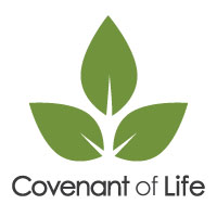 shareimage?v=0c7934e97253e88637188a448f4c111a3deb3427